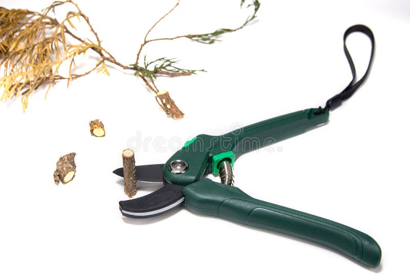 Heavy Duty Scissor Stock Photos - Free & Royalty-Free Stock Photos from ...