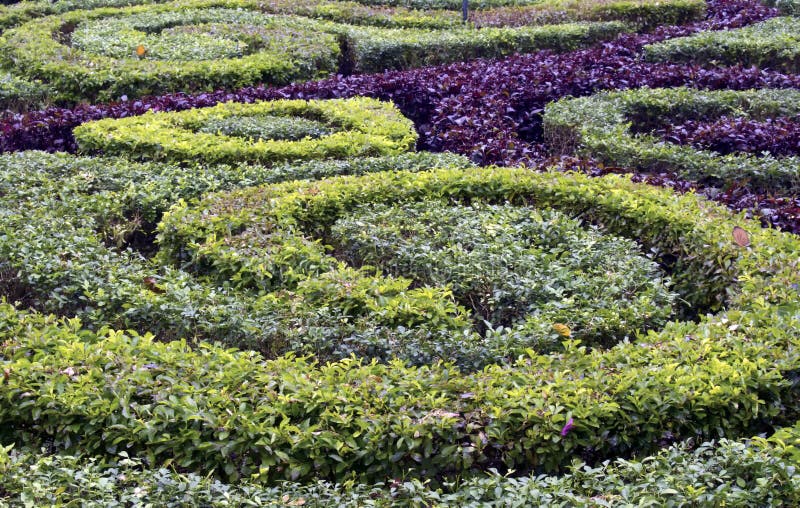 Garden hedges with a bench stock image. Image of environment - 15164055