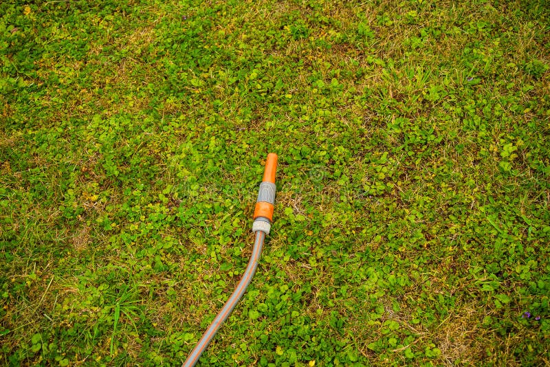 Garden hose lying in grass stock image. Image of germany - 154417747