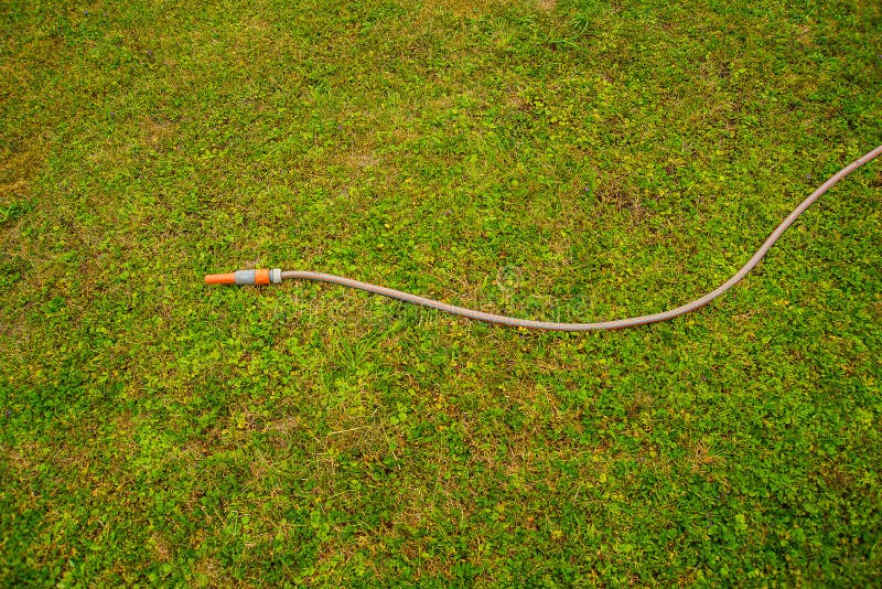 Garden hose lying in grass stock image. Image of lush - 154417781