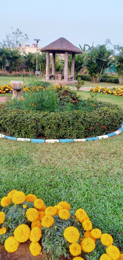 Garden House with Full Garden Editorial Stock Image - Image of marigold ...