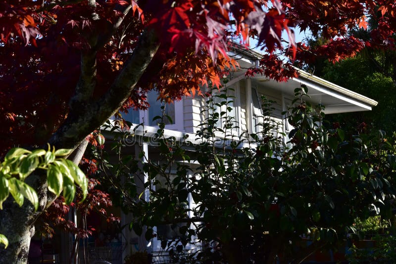 A Garden House Hidden in Trees Stock Image - Image of wildness ...