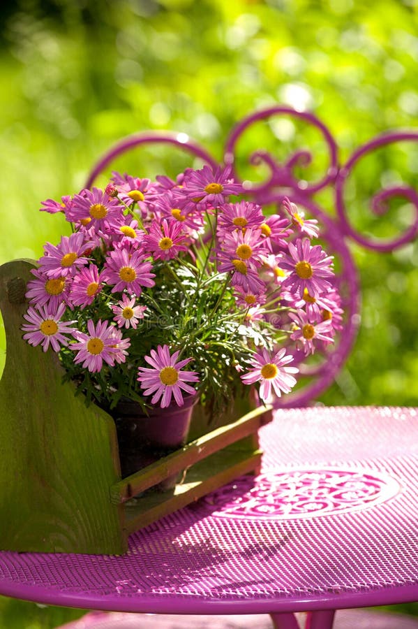 Garden idyll stock image. Image of leucanthemum, summer - 31637031