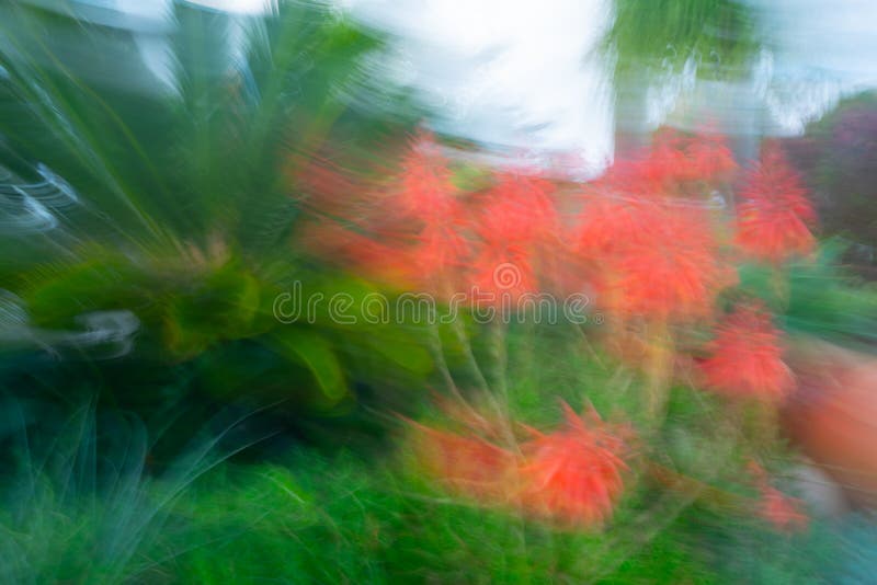 Garden Impressionism by Intentional Camera Movement Stock Photo - Image ...