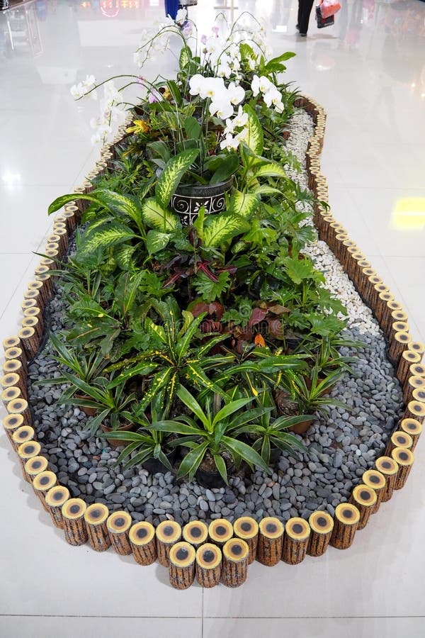 Garden indoor stock image. Image of beautiful, plant - 77112765