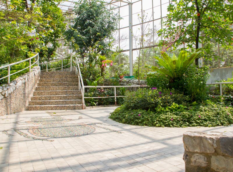 Garden indoor park stock image. Image of beautiful, green - 63787003