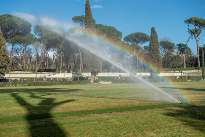 Garden irrigation jet stock photo. Image of grow, lawn - 272816460