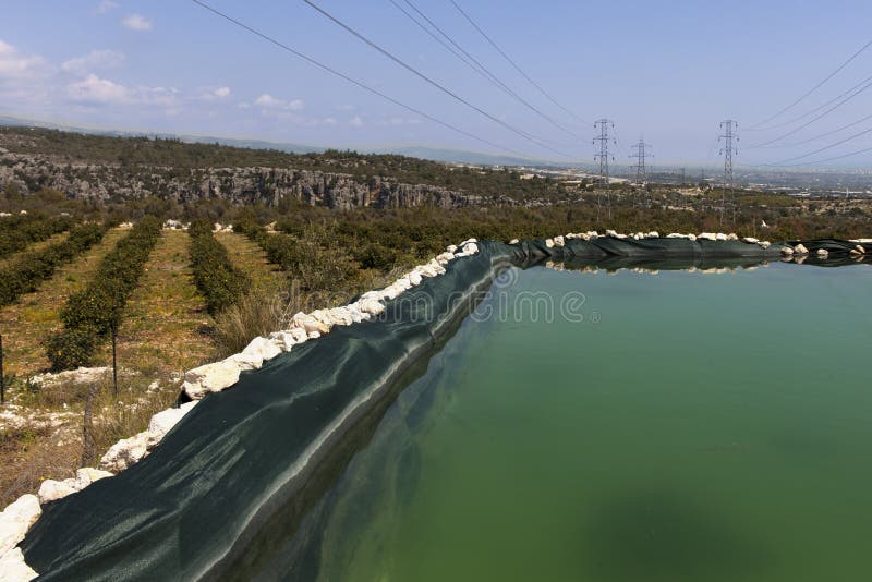 Garden Irrigation Pool and Lemon Garden Stock Photo - Image of watering ...