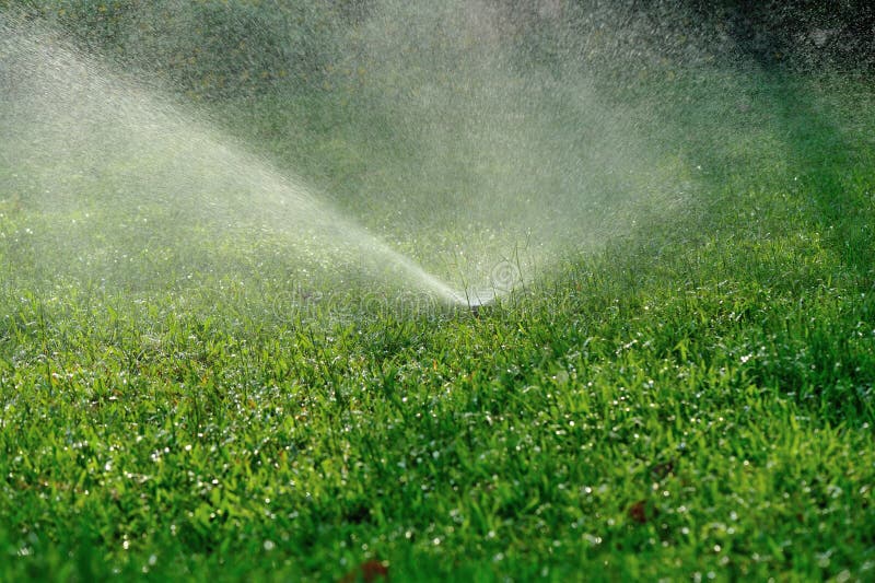 Spray Watering System stock photo. Image of horticulture - 39169788
