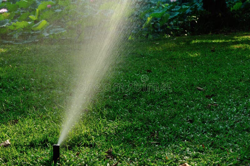 Garden Irrigation System Spray Watering Stock Image - Image of ...