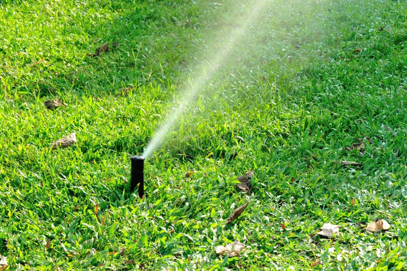 Garden Irrigation System Spray Watering Stock Image - Image of flora ...