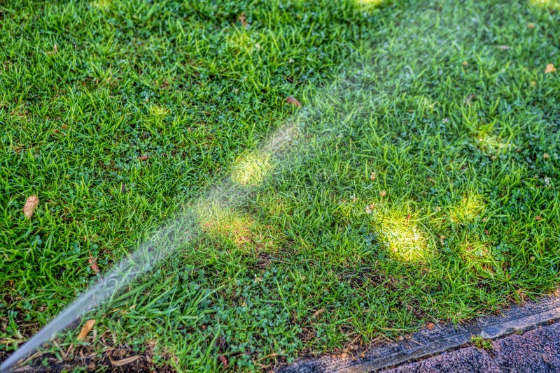 Garden Irrigation System Spray Stock Photo - Image of watering ...