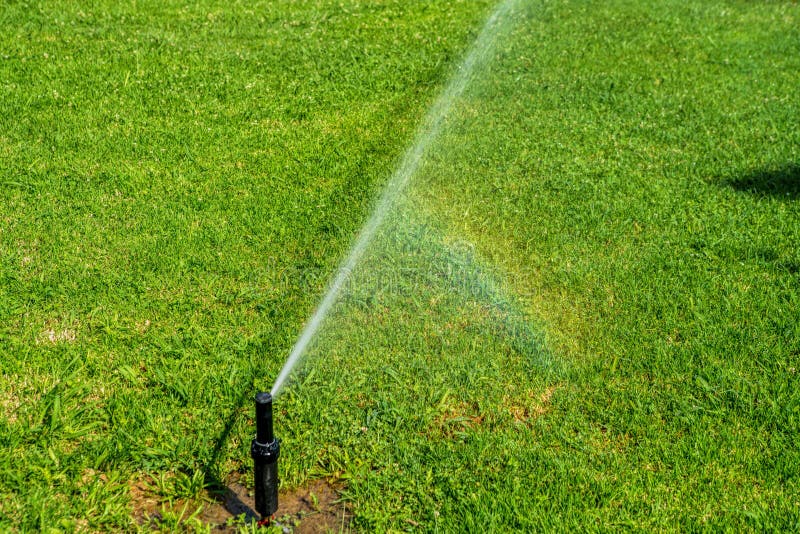 Spray Watering System stock photo. Image of horticulture - 39169788