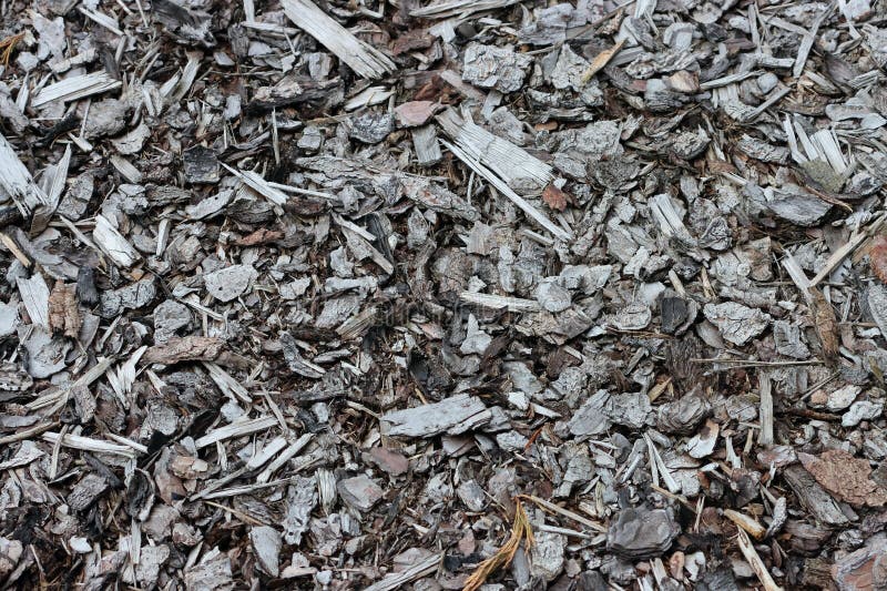Garden Isolated Mulch Texture Stock Photo - Image of surface, shredded ...
