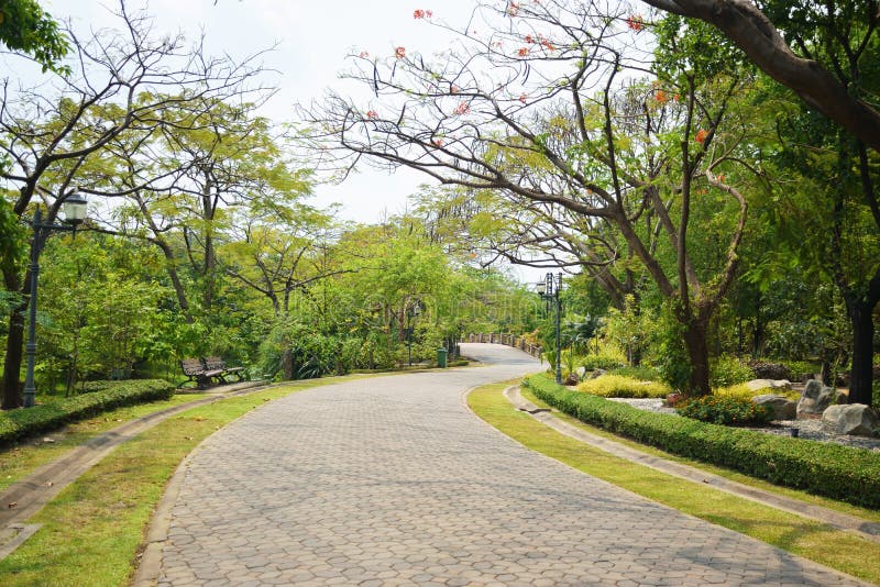 Garden for Jocking 001 stock photo. Image of nature, frame - 92437596