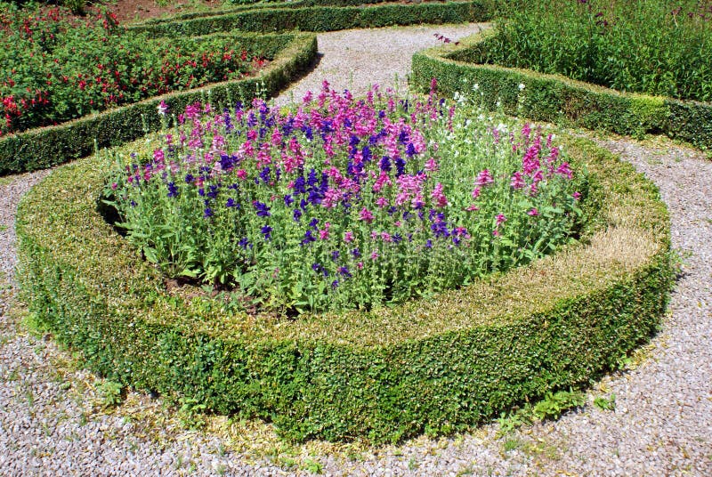 Garden stock photo. Image of beds, knot, flowers, nature - 59997172