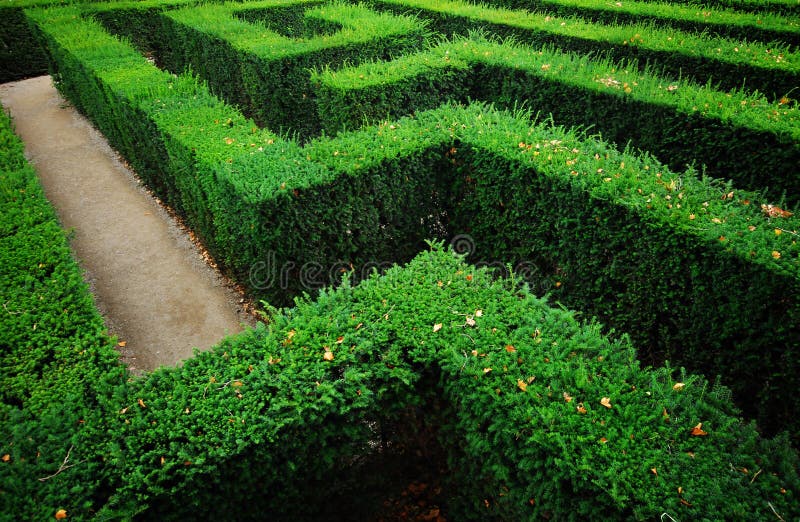 Garden Labyrinth stock image. Image of lost, botanical - 3439523