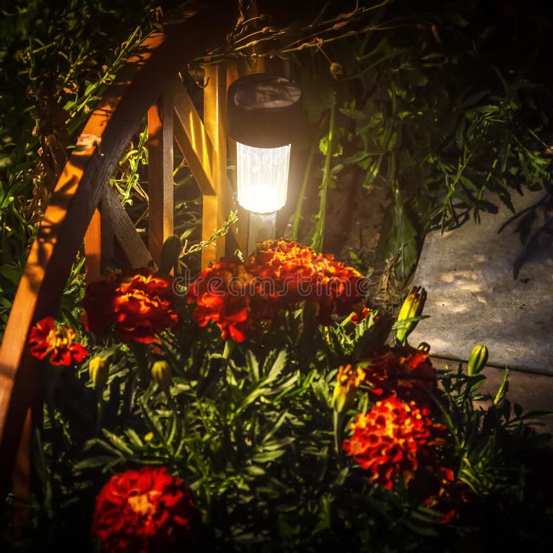 Garden Lamp in the Flower Garden Stock Photo - Image of garden, lamp ...