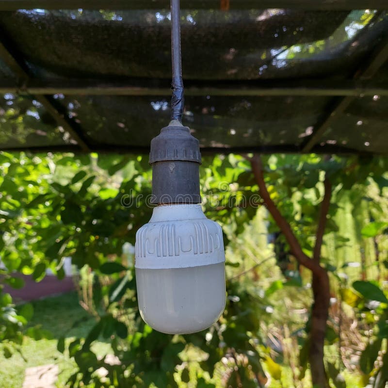 Garden Lamp for Lighting Plants Stock Photo - Image of lamp, plants ...