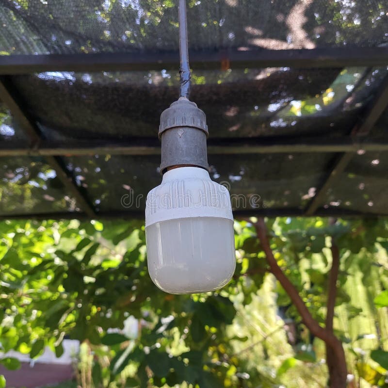 Garden Lamp for Lighting Plants Stock Photo - Image of tree, light ...