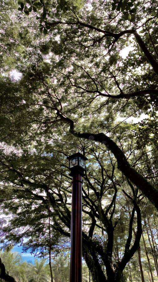 Garden lamp stock image. Image of lamp, entire, playground - 278888149