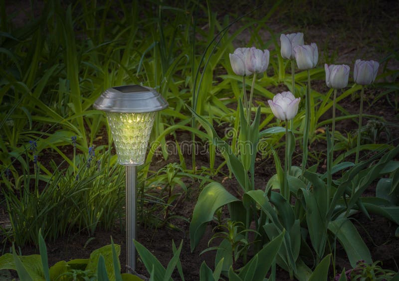 Garden Lamp Solar Powered in a Spring Garden Stock Image - Image of ...