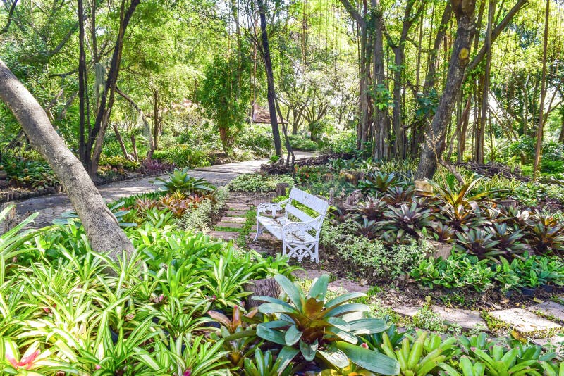 Garden landscape design stock photo. Image of garden - 80653320