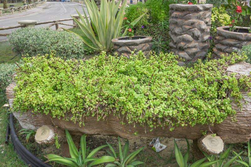 Garden Landscape, Garden Landscape Design with Plants, Grass Bricks ...