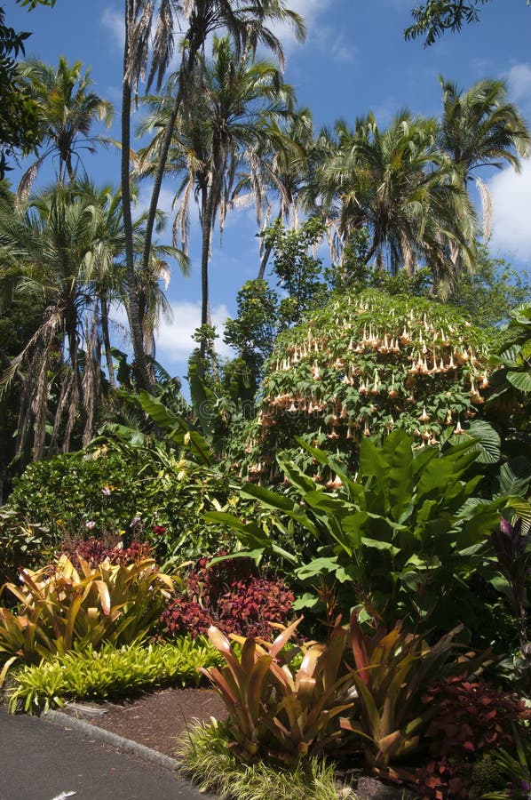 Garden Landscape with Layers of Colour and Texture Stock Photo - Image ...