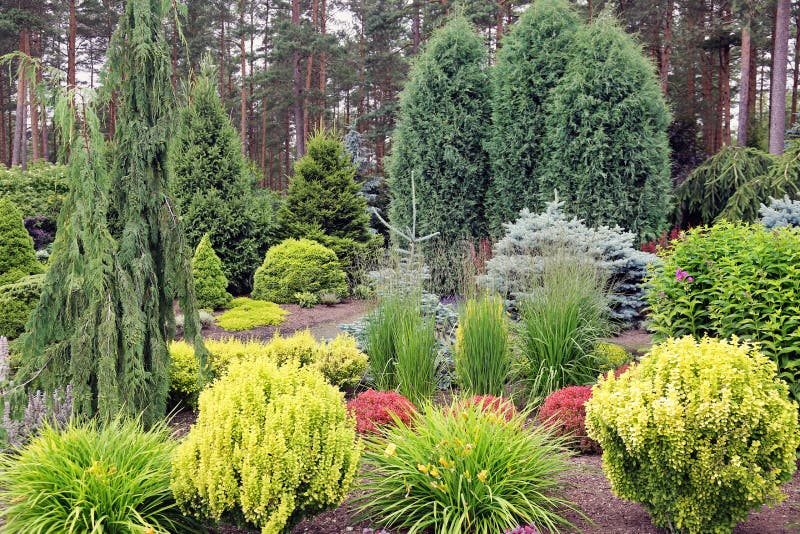 Garden Landscape with Mix of Plants Stock Image - Image of green ...