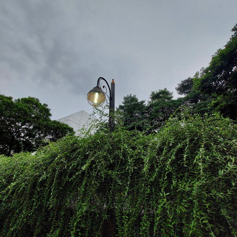 Garden Lights that are Already on at Night Stock Photo - Image of green ...