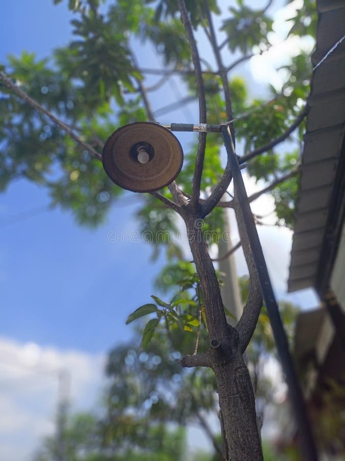Garden Lights Under the Trees, To Shine in Every Dark Night Stock Photo ...