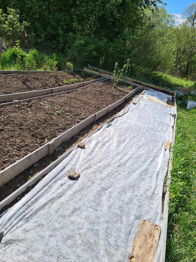 Garden live in spring stock image. Image of live, good - 184128957