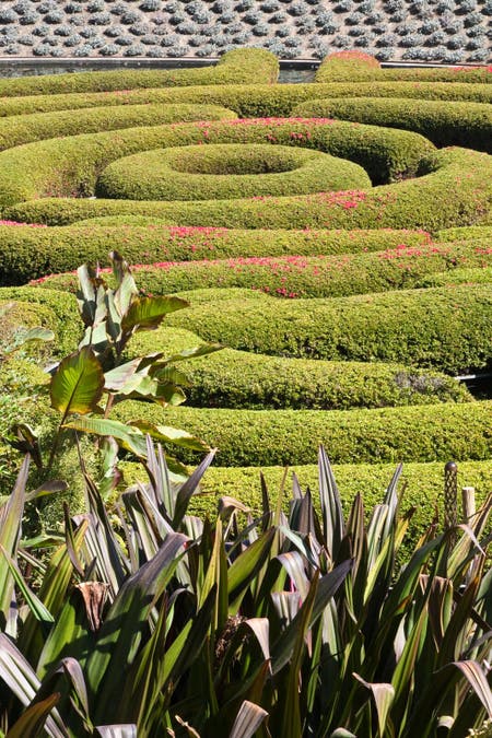 Garden Maze stock photo. Image of attraction, pond, green - 11341274