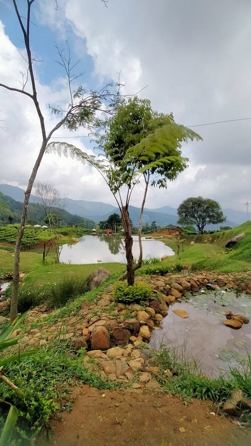 Garden and mini lake stock photo. Image of lake, garden - 223413876