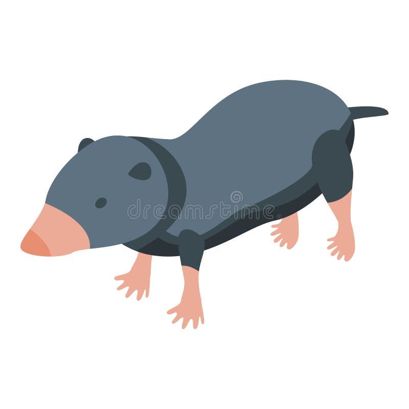 Garden Mole Icon Isometric Vector. Cute Animal Stock Vector ...