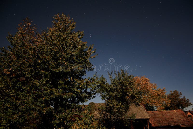 Garden in moonlight stock photo. Image of moonlight, start - 62552868