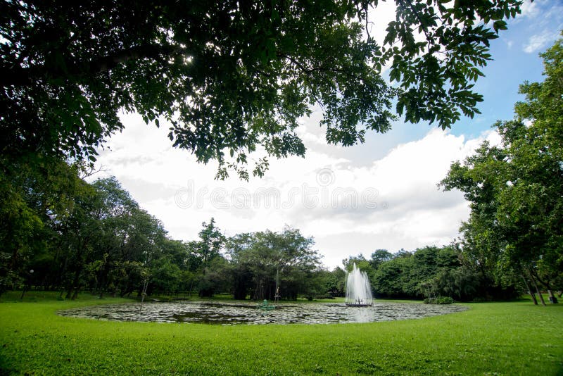 Garden in the Morning stock image. Image of waterfall - 86092305
