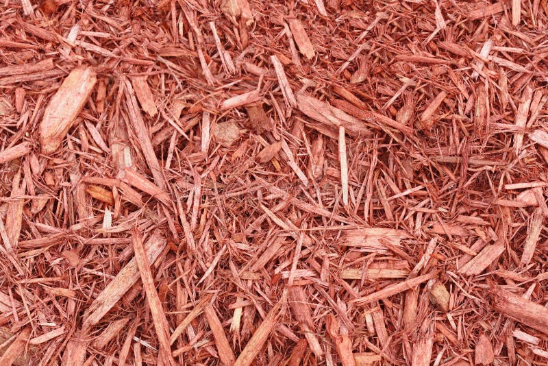 Garden Mulch stock photo. Image of ground, nature, background - 19816904