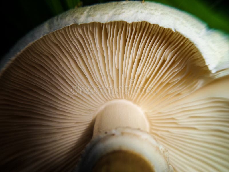 Underne Stock Photos - Free & Royalty-Free Stock Photos from Dreamstime