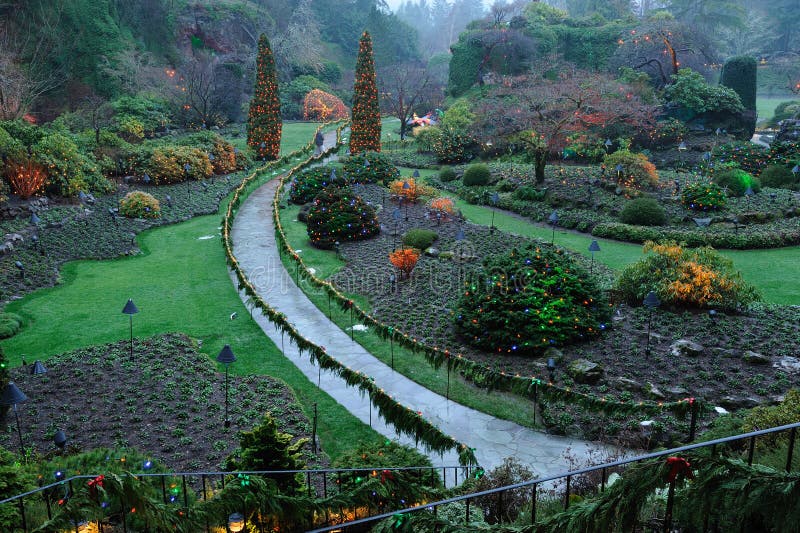 Garden summer night stock image. Image of attraction - 15216545