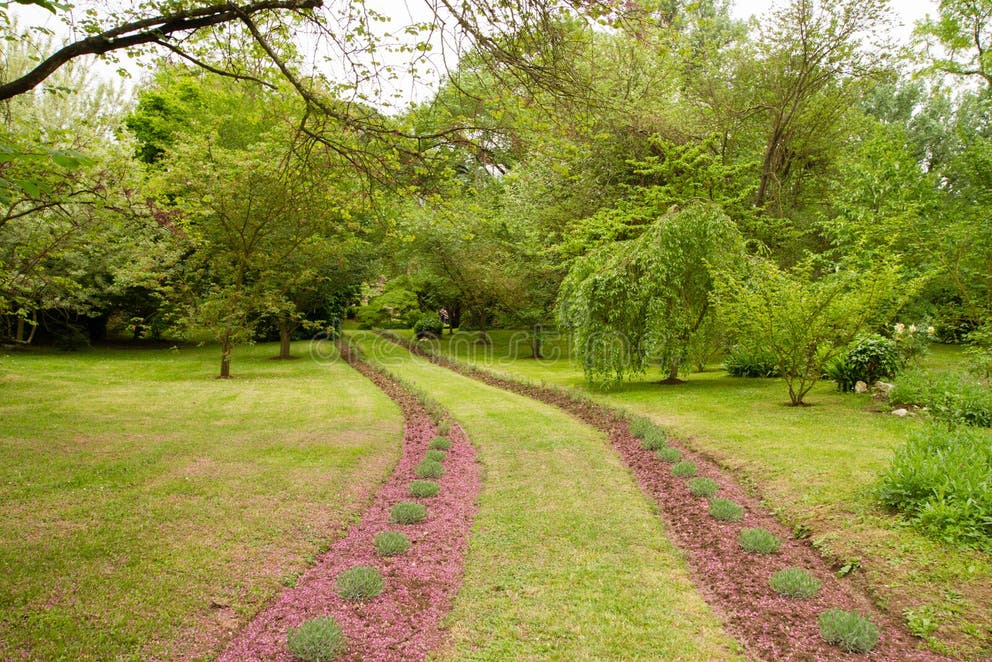 Garden of Nympha stock image. Image of tranquil, aciculum - 40230287