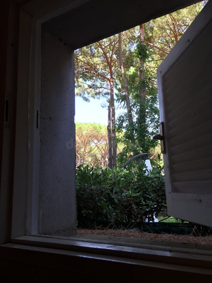 Garden through open window stock photo. Image of bush - 57712124