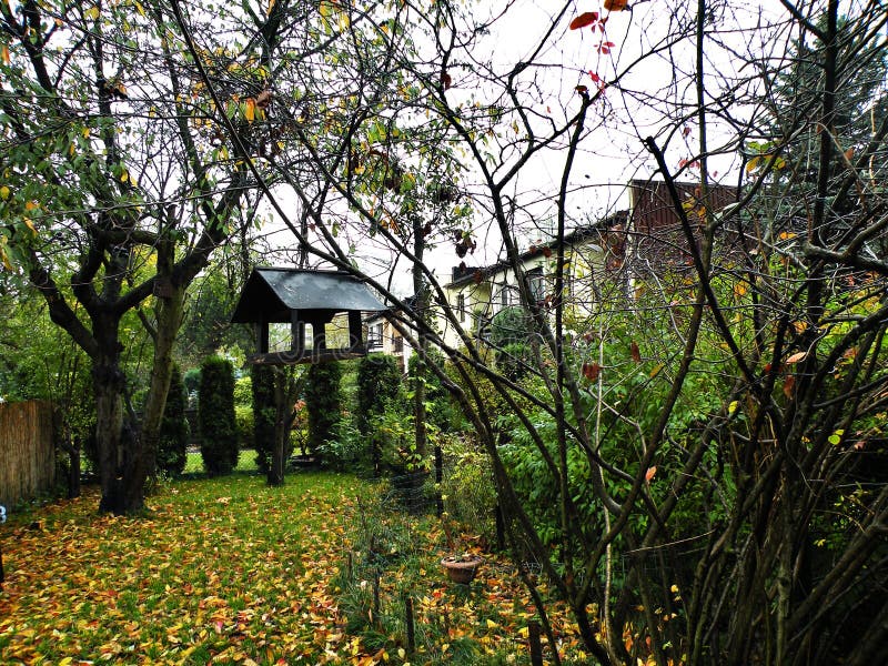 Garden stock image. Image of grass, view, bamboo, house - 102985375