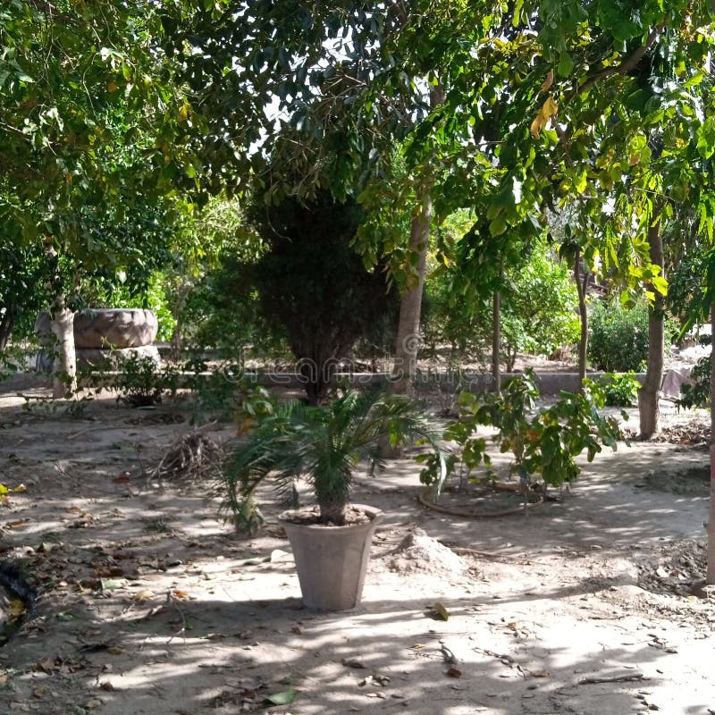 Garden of pakistan stock photo. Image of commercial - 216303074