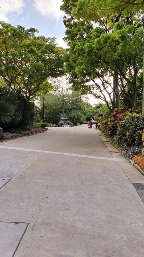 Garden in the park editorial photography. Image of nature - 252532352