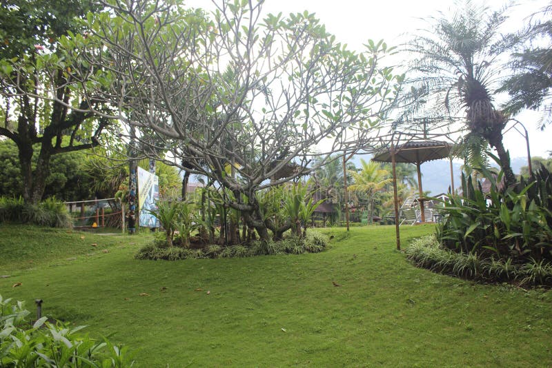 Garden Park in East Java Indonesia Editorial Photo - Image of indonesia ...