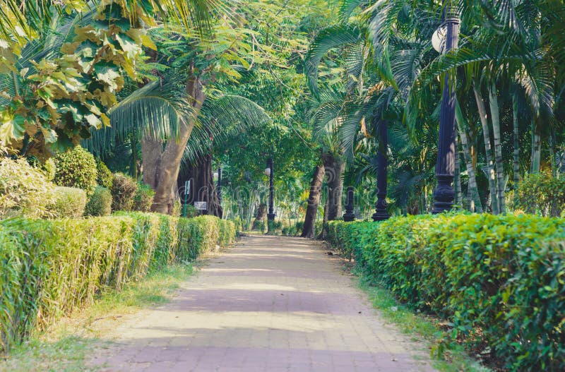 Garden Park Lane. Garden Road in Summer Sunset Sunlight Stock Image ...