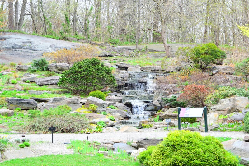 Garden or Park with Mini Waterfall Stock Image - Image of green, macro ...