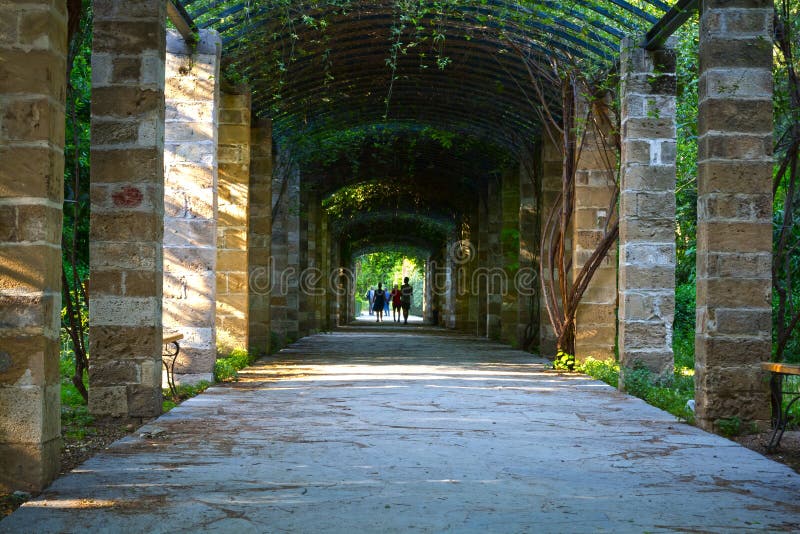 Garden passage stock photo. Image of calm, flower, plant - 58187182